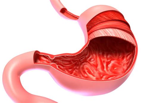 Żółtaczka – rodzaje, objawy, diagnostyka - Zielarz-Dietetyk.pl