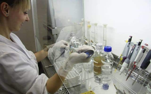 Żółtaczka – rodzaje, objawy, diagnostyka - Zielarz-Dietetyk.pl